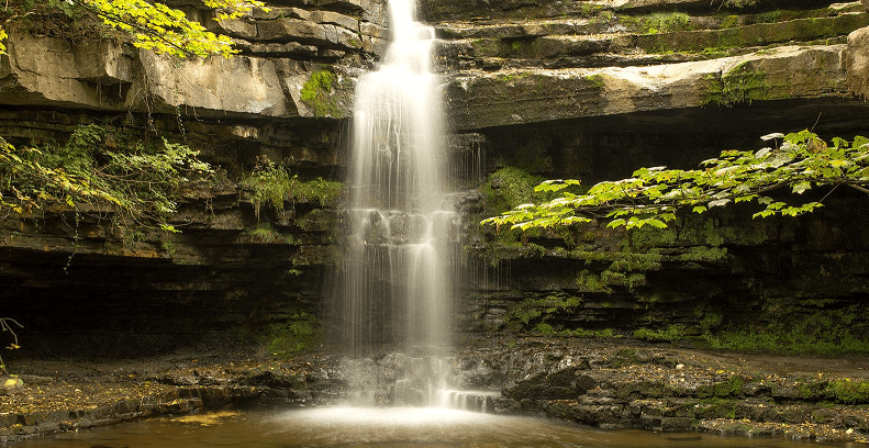 La charia dans l'Islam : retour à la signification première