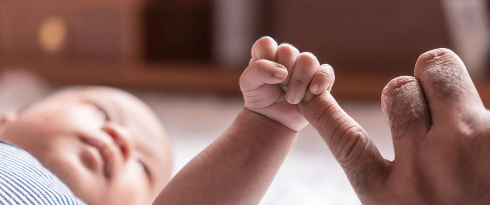 L'instinct : définition philosophique / son lien avec la conscience L'instinct : définition philosophique / son lien avec la conscience