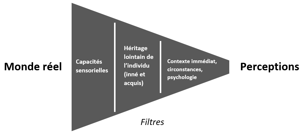Les perceptions : définition en psychologie et philosophie