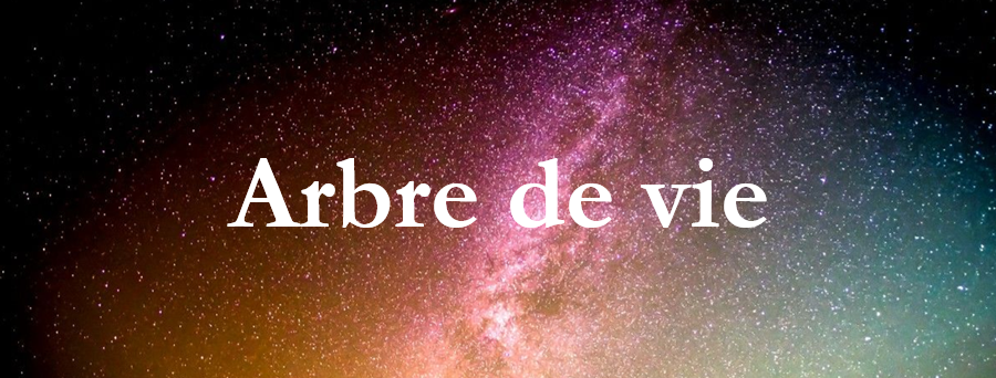 Arbre de vie : définition spirituelle - Dictionnaire de spiritualité