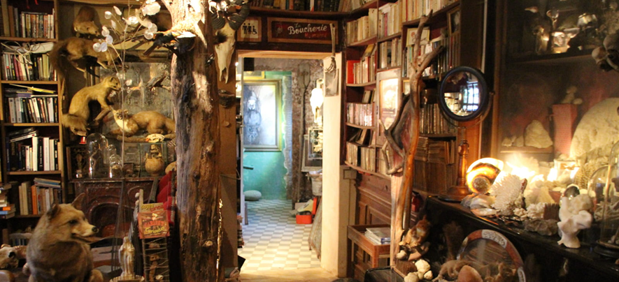 Le cabinet de curiosités, miroir de l'Homme et de la Création